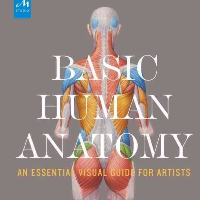 Promo Basic Human Anatomy Roberto Osti Tutorial Book Diskon 25 Di