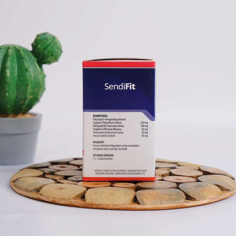 Jual Obat Kaki Lemas Dan Gemetar Kaki Tidak Bertenaga Kaki Tidak Kuat ...