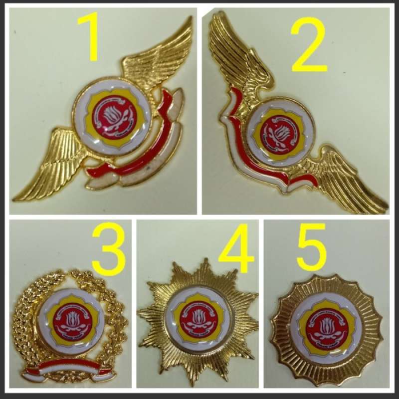 Promo Pin Karang Taruna Sayap Diskon 23% Di Seller Balola - Cengkareng ...