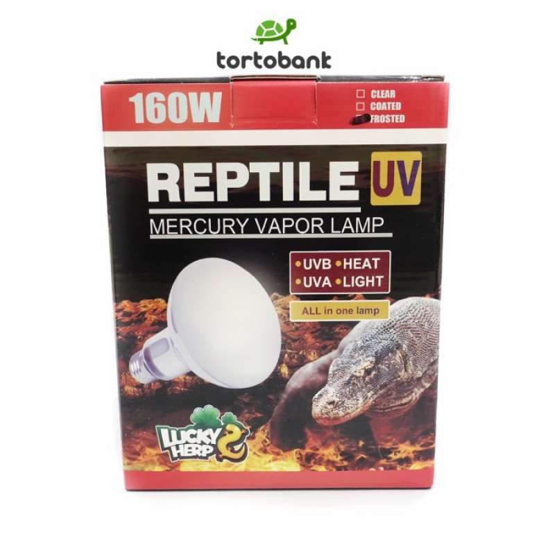 Promo LAMPU UVA UVB MERCURY VAPOR LAMP 160 WATT LUCKY HERP - MIRIP SOLAR GLO Diskon 33% di ...