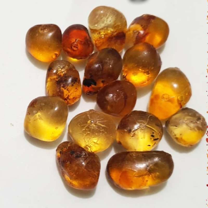 Promo 500gr Peach Gum Peachgum Tao Jiao Getah Plum [organic