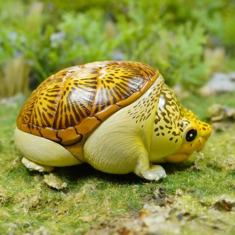 Promo LAUGH AND GROW FAT - TURTLES - CLAUDIUS ANGUSTATUS - TOCKO99 ...