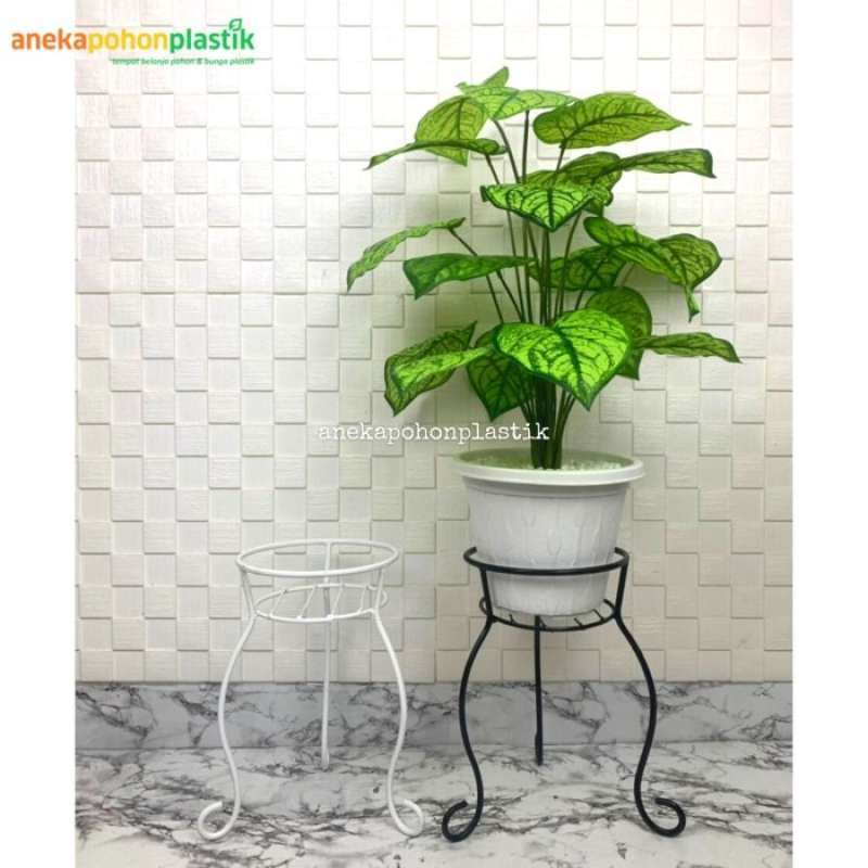 Promo Pohon Calladium X18 Semi Latex Pot Tulip Plastik Standing Besi ...