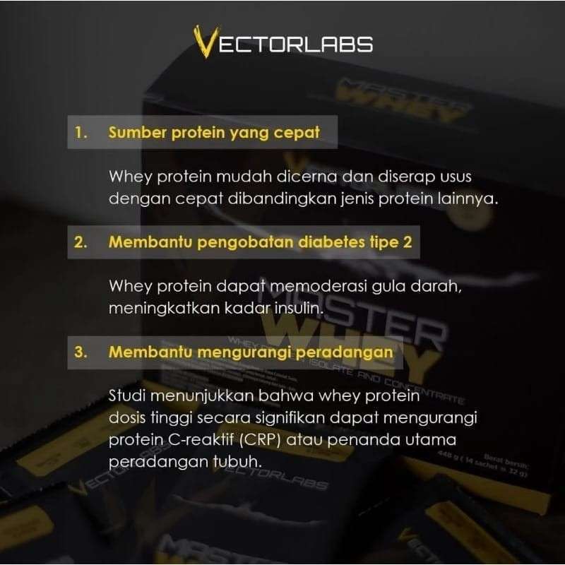 Jual VECTORLABS MASTER WHEY 5 LBS VECTOR LABS WHEY PROTEIN - Choco ...