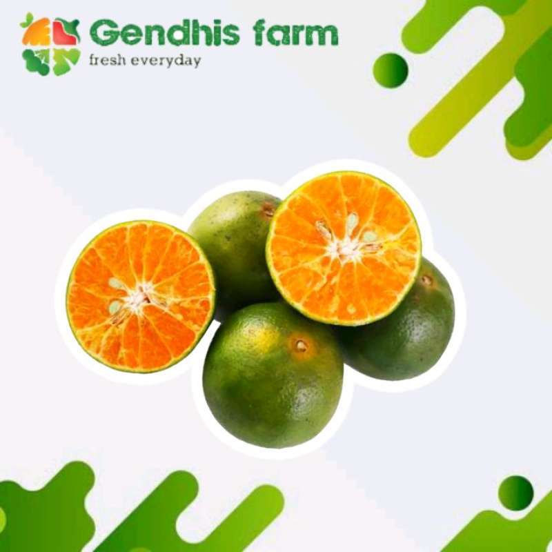 Jual Jeruk Peras (1 Kg) Di Seller Gendhis Farm - Kuta Bumi, Kab ...