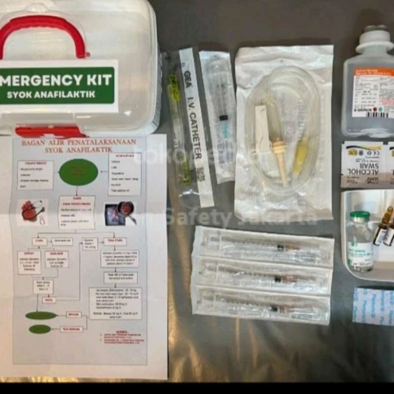 Anafilaktik Kit Lengkap Harga Terbaru Juni 2024 | Blibli