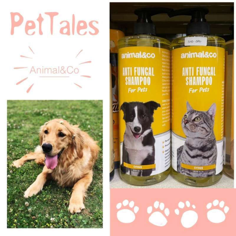 Promo Animal&Co Antifungal Shampoo 1 Litre Diskon 23% di Seller Haura ...