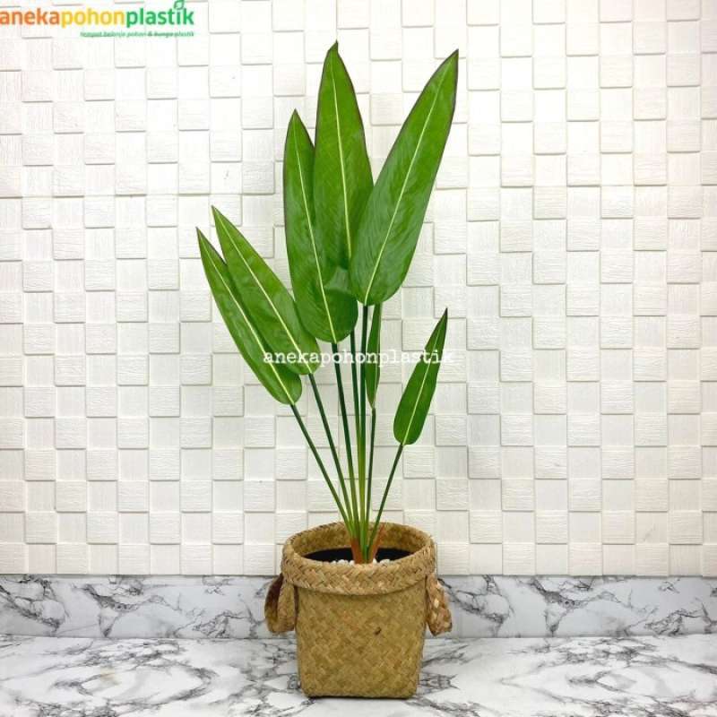 Promo Pohon Daun Heliconia X7 Latex Hijau Pot Dasar Purun Tanaman ...