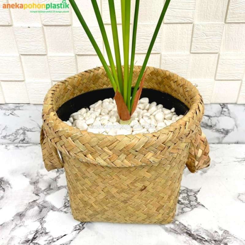 Promo Pohon Daun Heliconia X7 Latex Hijau Pot Dasar Purun Tanaman ...