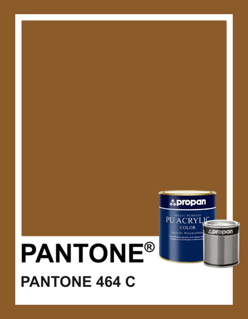 Jual Pantone Cat Original Harga Termurah Juni 2024 | Blibli