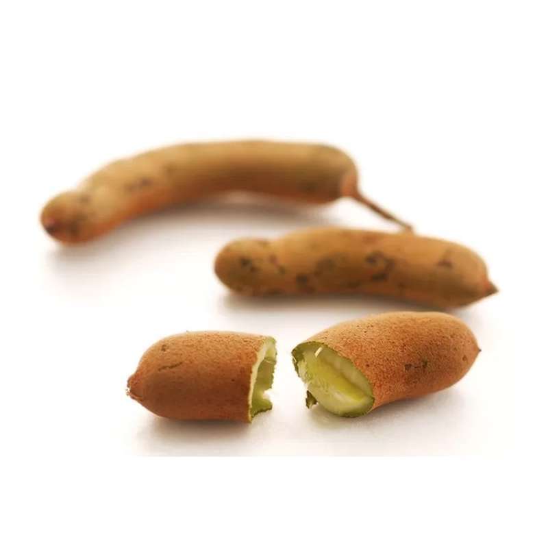 Jual Asem Muda Termurah - Harga Grosir Terupdate Hari Ini | Blibli