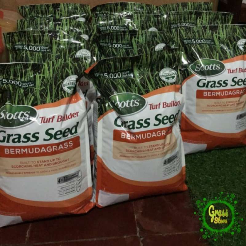 Promo Bibit Rumput/benih Rumput Bermuda Scotts Grass Seed Kemasan 5lbs ...