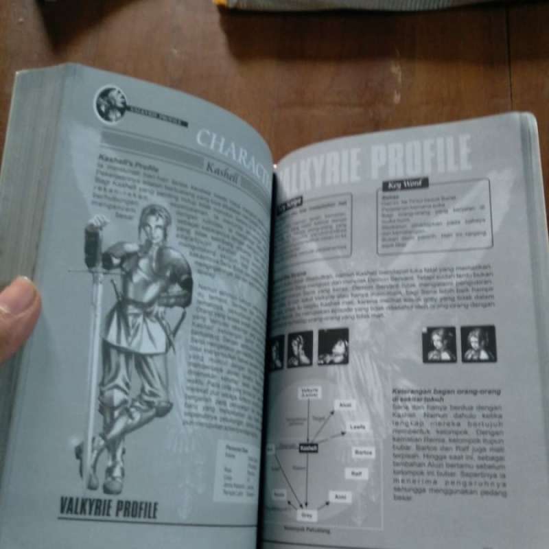 Jual Buku Panduan Game Valkyrie Profile Walkthrough Guide Playstation 1 ...