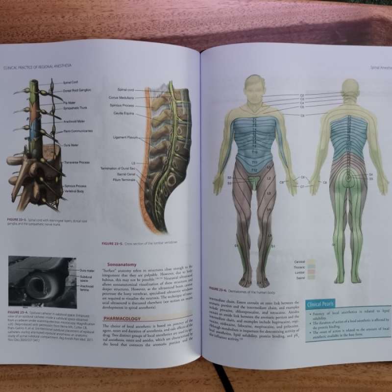 Jual Buku Kedokteran Hadzic Textbook Of Regional Anesthesia 2e Di ...