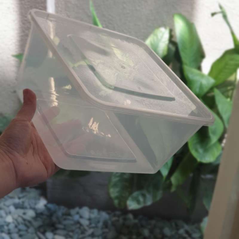 Jual Thinwall Square 3000ml / Thinwall Kotak 3000ml. Isi 25pcs Di ... Jual Thinwall Square 3000ml / Thinwall Kotak 3000ml. Isi 25pcs Di ...