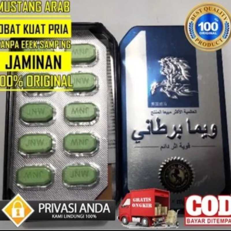 Jual Promo Spesial Kuda Arab Liar Mustang Waa Yauma Barthani Memperkuat ...