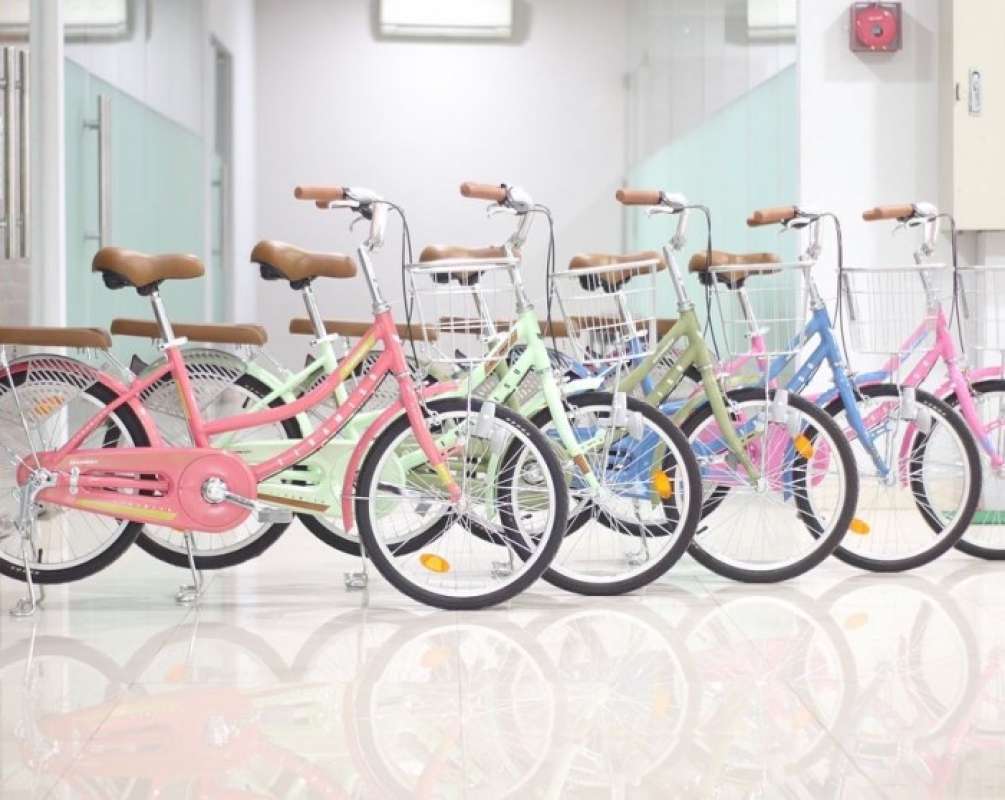 Promo Sepeda Mini 20 Inch Element Mini Tiramisu Diskon 50% Di Seller ...