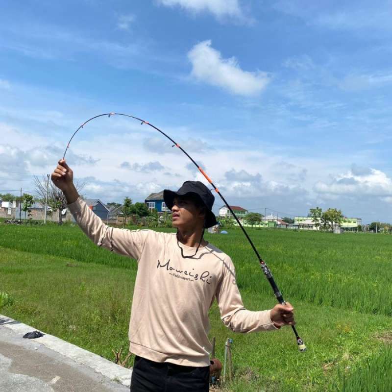 Jual Joran Pancing Ajiro Pegasus Sp Fiber Berbagai Ukuran Di Seller ...