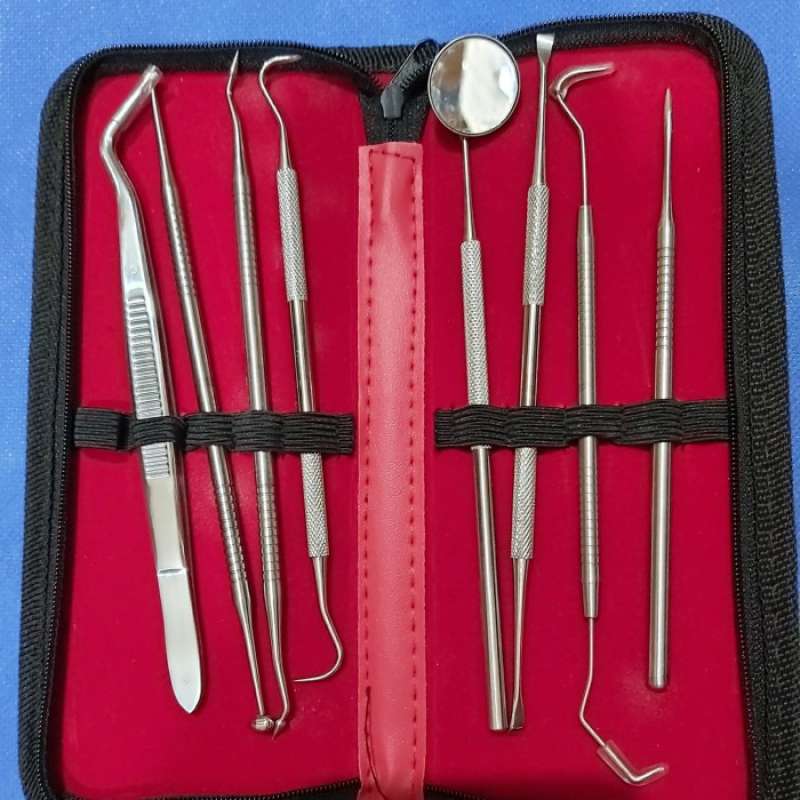 Promo Alat Dokter Gigi Dental Kit Set 8pcs Dental Instrument Perawatan ...