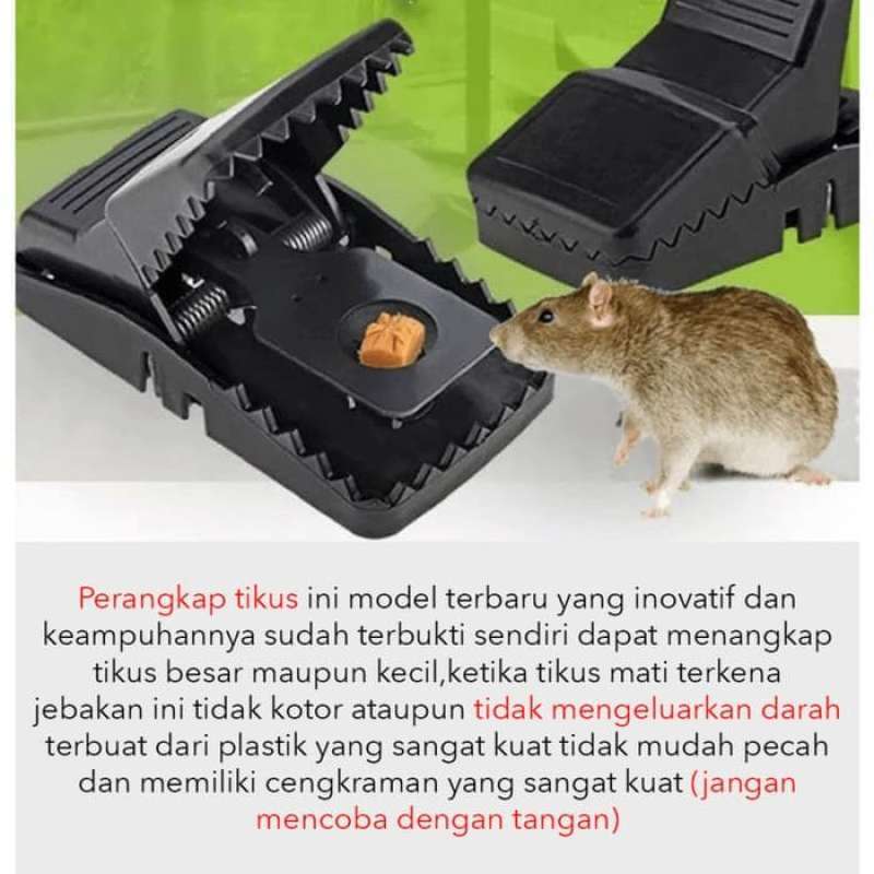 Promo Alat Pembasmi Tikus, Untuk Pembunuh Tikus Inovatif Baru Dan ...