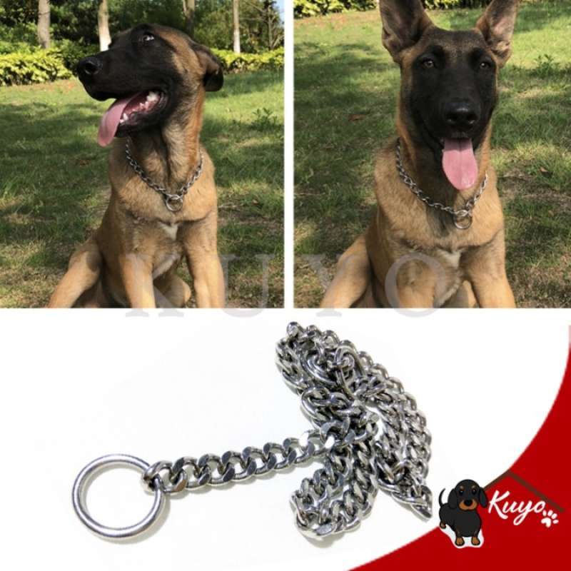 Jual Rantai Kalung Tali Anjing Besar Stainless Steel 75cm - Big Dog ...