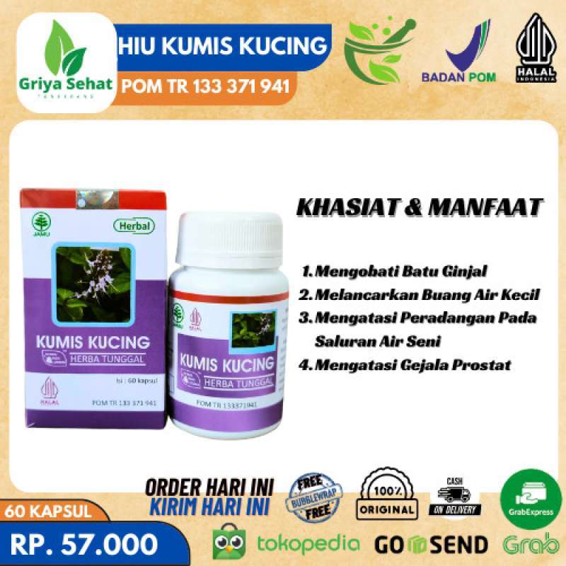 Jual Obat Herbal Anyang-anyangan Kencing Batu Kapsul Kumis Kucing ...