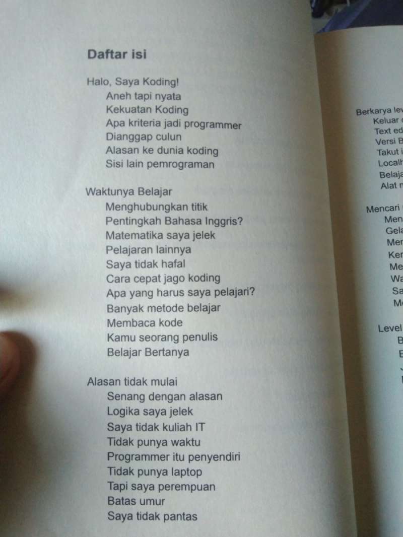 Promo Buku Halo Koding | Buku Untuk Programmer Indonesia | Hilman ...