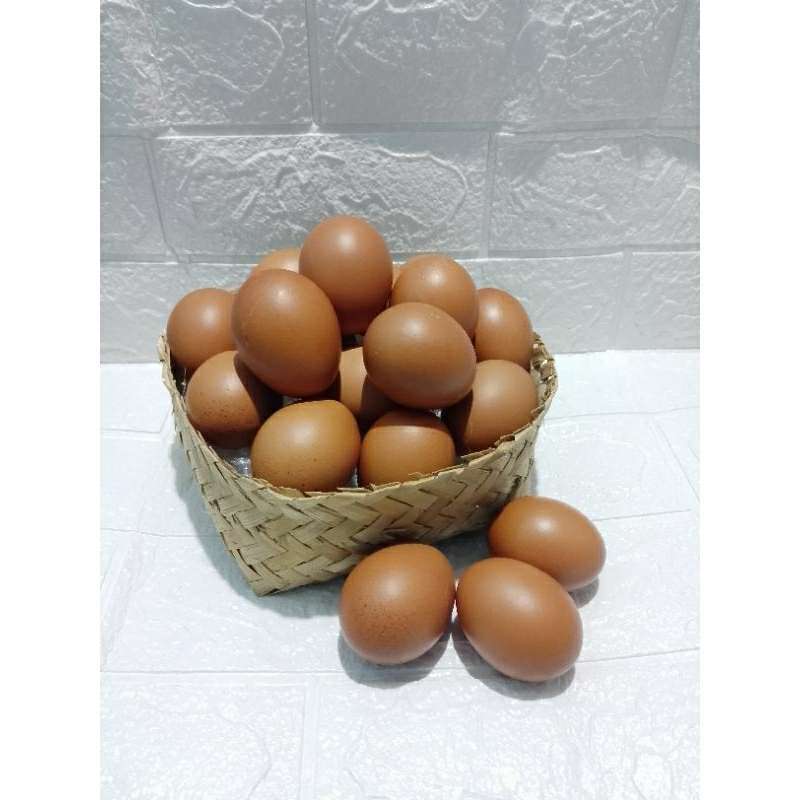 Jual Telur Ayam Negeri Fresh Grade A /1kg Instan Di Seller Js Telur ...