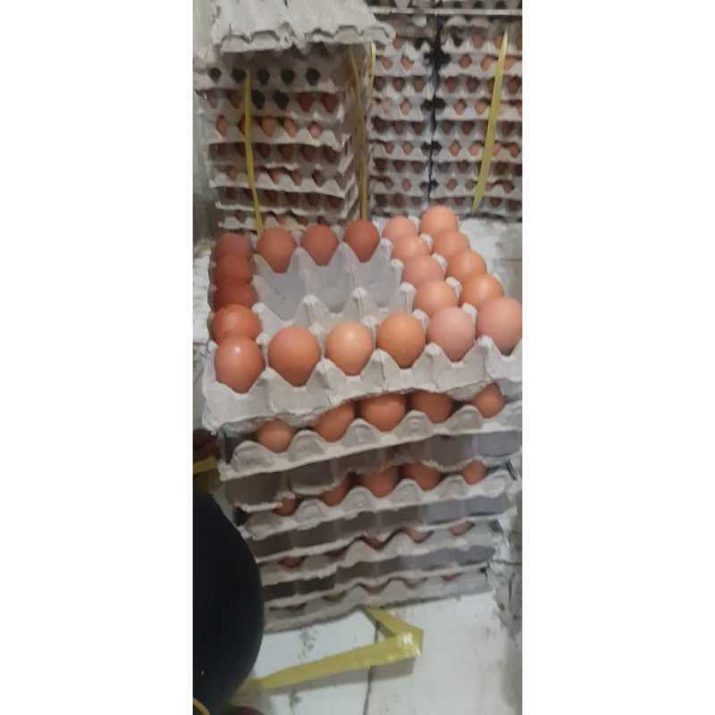 Jual Telur Ayam Negeri Fresh Grade A /1kg Instan Di Seller Js Telur ...