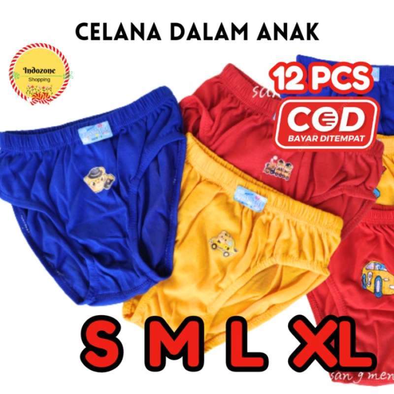 Jual 1 Lusin Cd Celana Dalam Anak Laki Laki 1-11 Tahun Sablon Motif ...