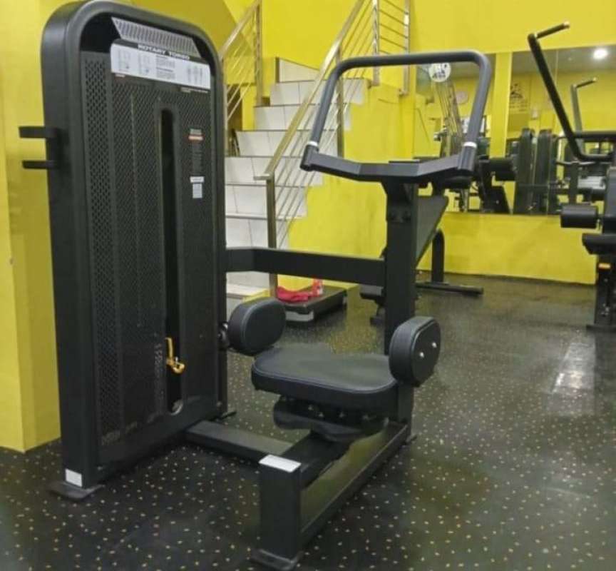 Jual Rotary Torso Type 3018ca Alat Fitness Komersial Import- Apple Di ...