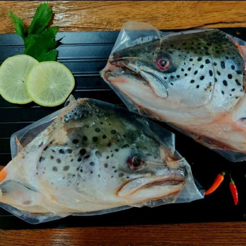 Jual Kepala Salmon Belah, Half Salmon Head - Big Size - 481 di Seller ...