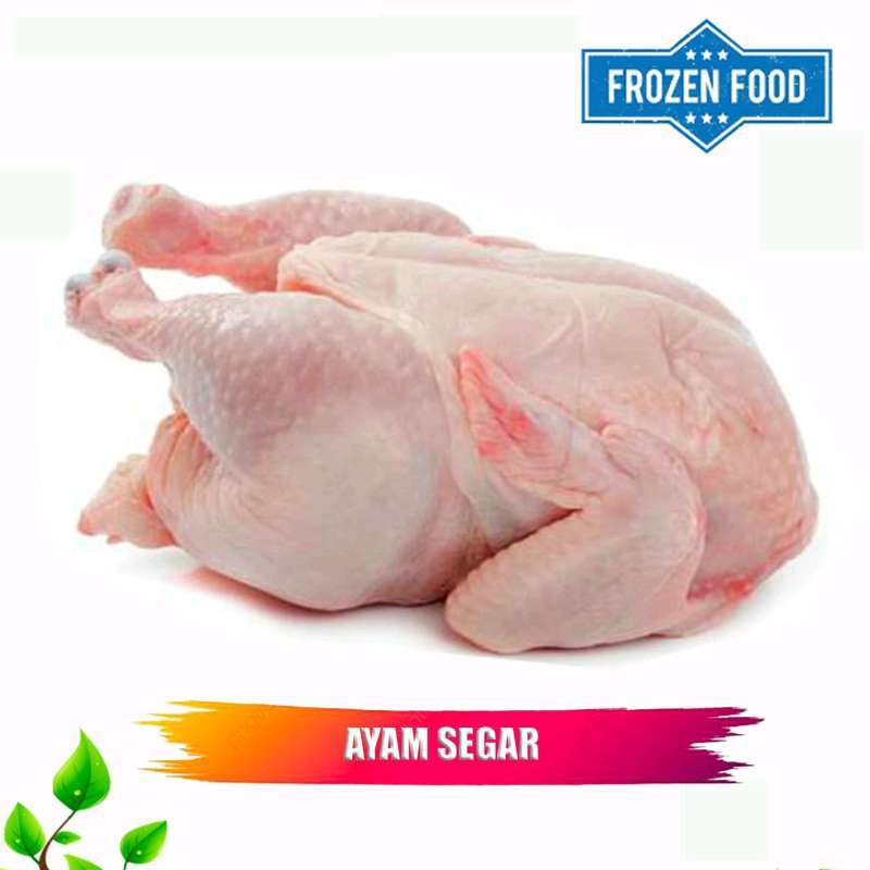 Jual Ayam Frozen Berat 1,4-1,7kg Di Seller Frozen Food Jkt - Kalideres ...