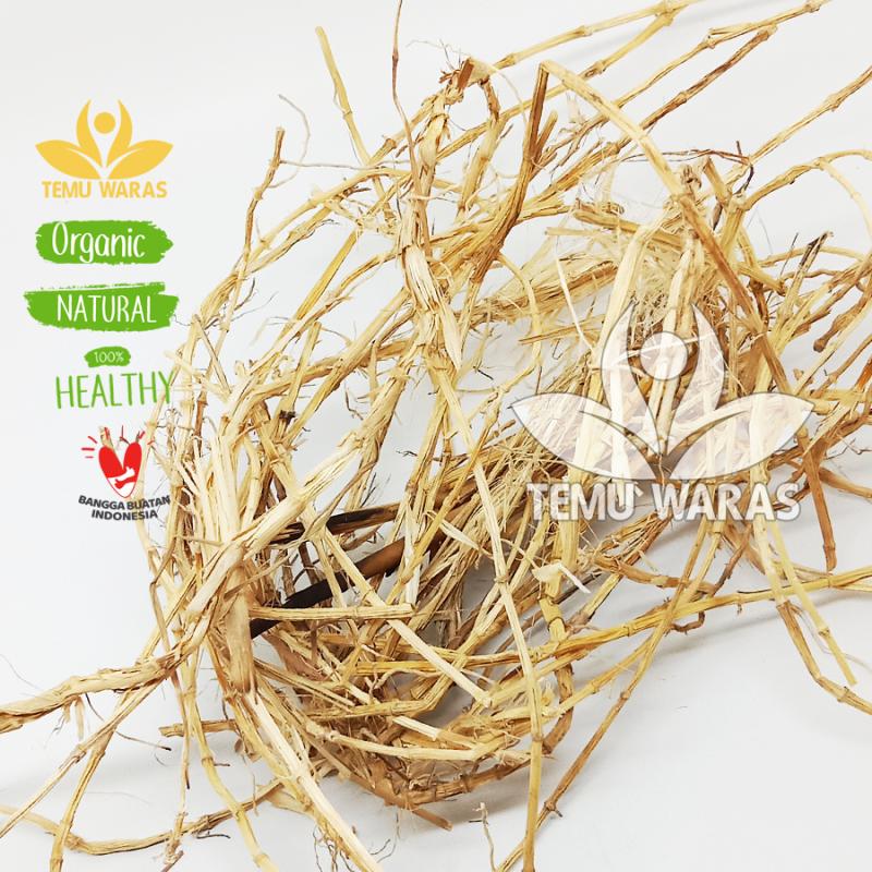 Promo Grade A!! Akar Alang-alang Atau Ilalang Kering 100gr Asli Dan ...