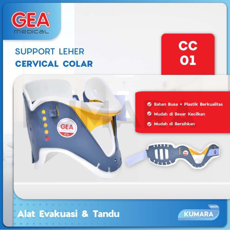 Neck Collar Gea Anak Lengkap Harga Terbaru Mei 2024 | Blibli