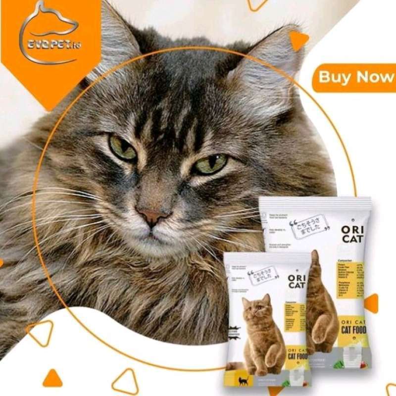 Jual Makanan Kucing Merk Ori Cat 20 Kg Di Seller Agrofarmjaya - Kuta ...