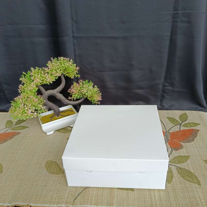 Jual Dus Nasi / Dus Hajatan / Dus Makanan / Dus Serbaguna Ukuran 20x20 ...