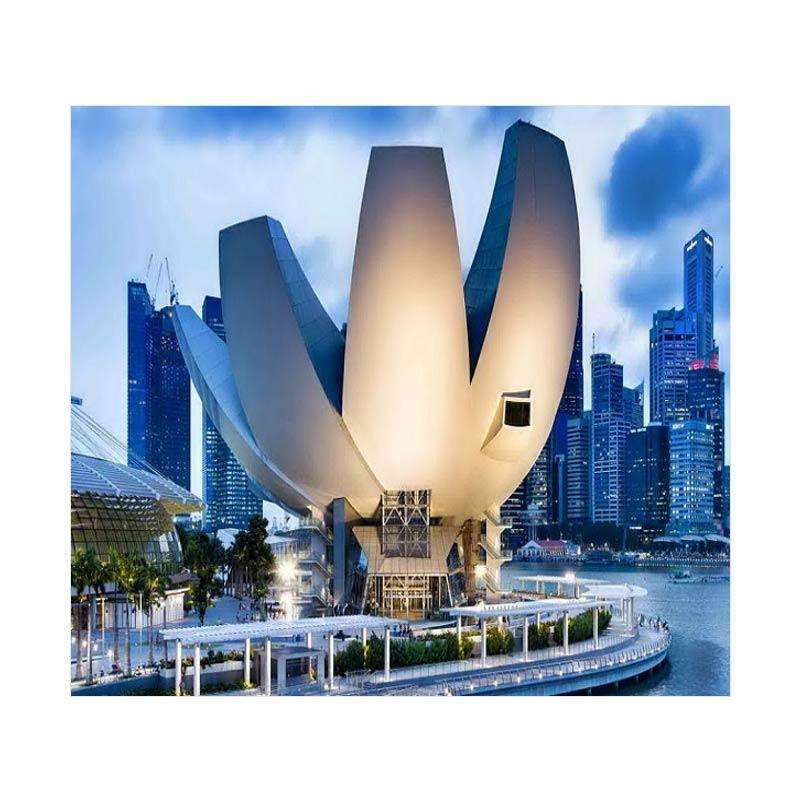 Promo ArtScience Museum at Marina Bay Sands - The Museum Ticket (Future ...