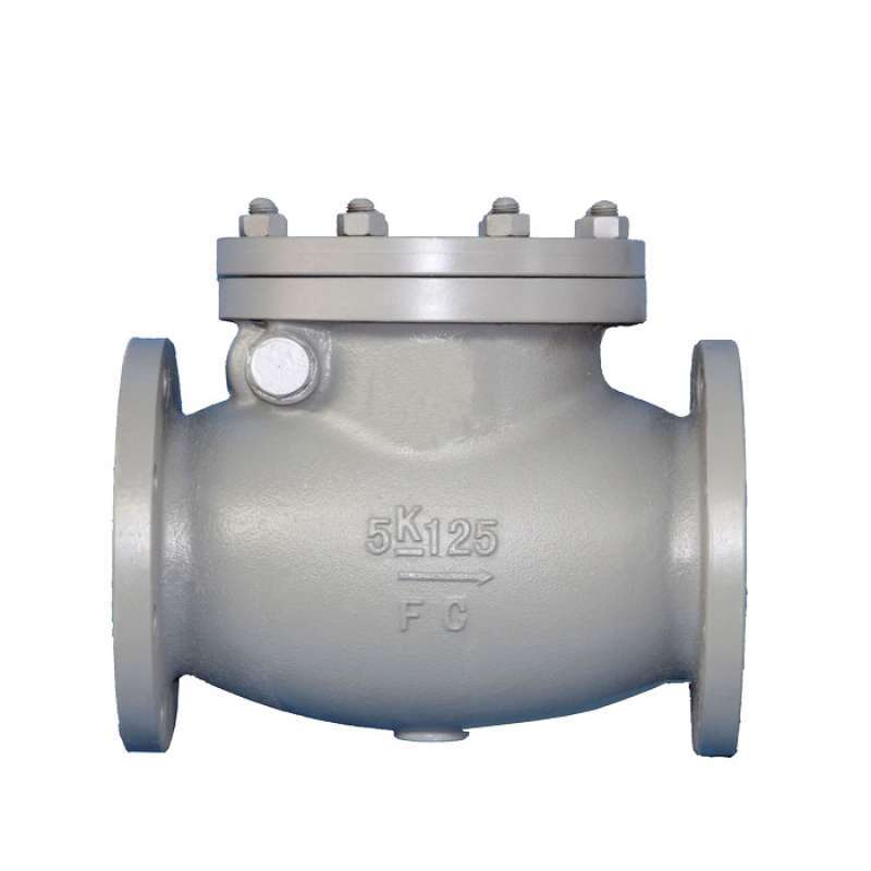 Jual Check Valve 2 5 Inch Original Murah - Harga Diskon Juni 2024 ...