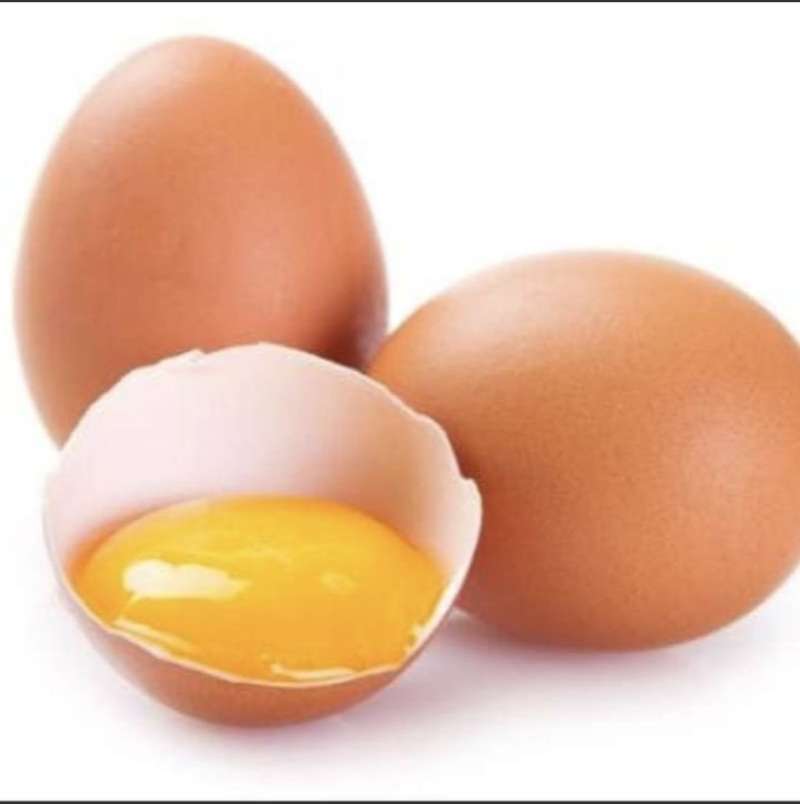 Jual Telur Ayam Negeri Ukuran Besar[1 Butir] Di Seller Indo Telur ...