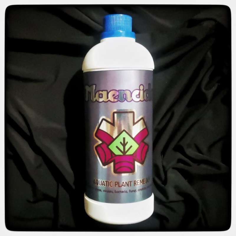 Promo Maencide Anti algae killer bakterisida fungisida obat BR anubias ...