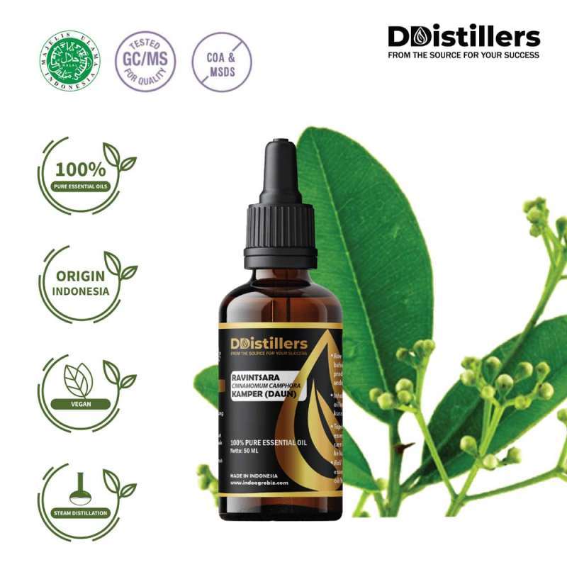 Daun Kayu Kamper Lengkap Harga Terbaru Maret 2024 | Blibli