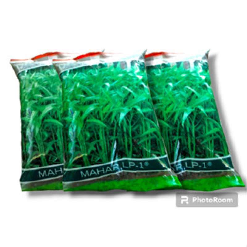 Jual Benih Kangkung Mahar Lp1 1kg Di Seller Pardi Tani - Glempangpasir ...