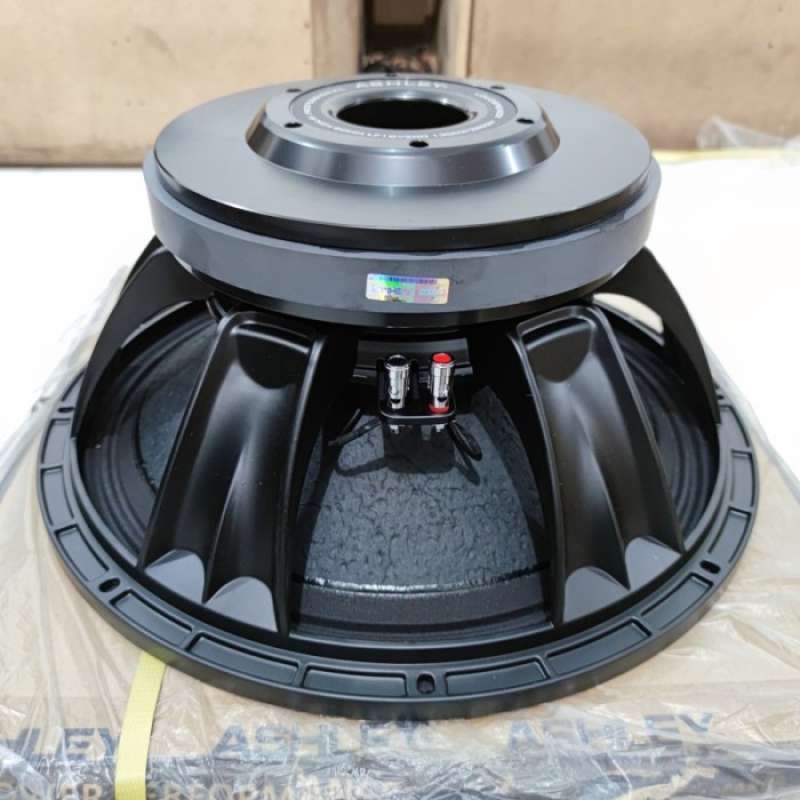 Jual Speaker Subwoofer Ashley 18 Inch Lf18v500 Original Di Seller ...