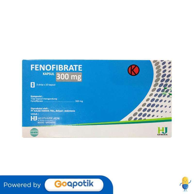 Fenofibrate 300 Mg Lengkap Harga Terbaru April 2024 | Blibli