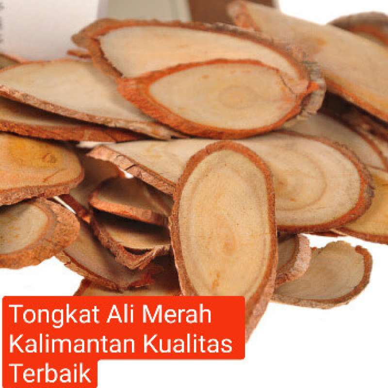 Promo Tongkat ali merah kalimantan ASLI kualitas terbaik Diskon 23% di ...