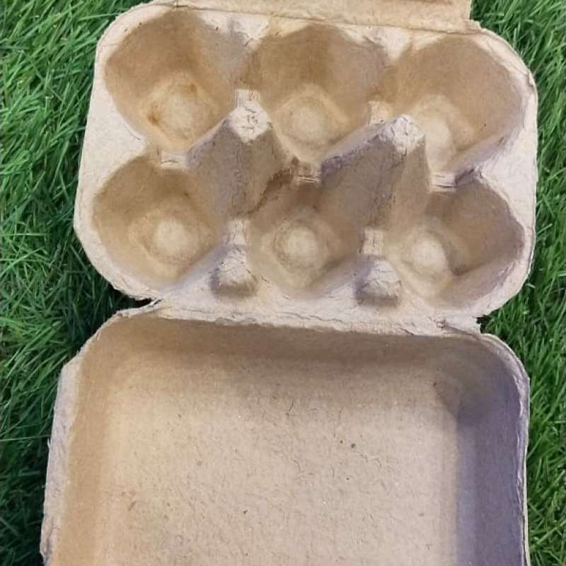 Promo Paper Egg Tray Egg Kertas 6 Lubang Sudah Ada Pengunci 1000Pcs promo-paper-egg-tray-egg-kertas-6-lubang-sudah-ada-pengunci-1000pcs