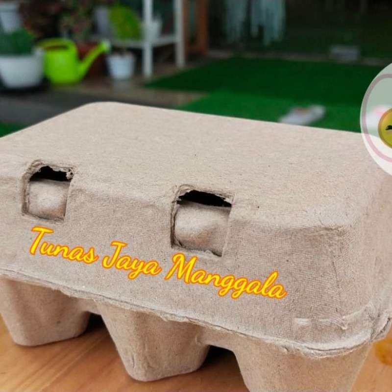 Promo Paper Egg / Tray Egg Kertas 6 Lubang Sudah Ada Pengunci 1000Pcs ...