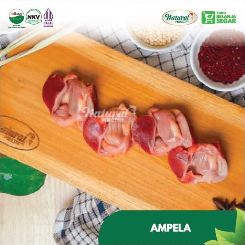 Jual Ampela Ayam Probiotik 500gr - Natural Poultry Di Seller Belanja ...