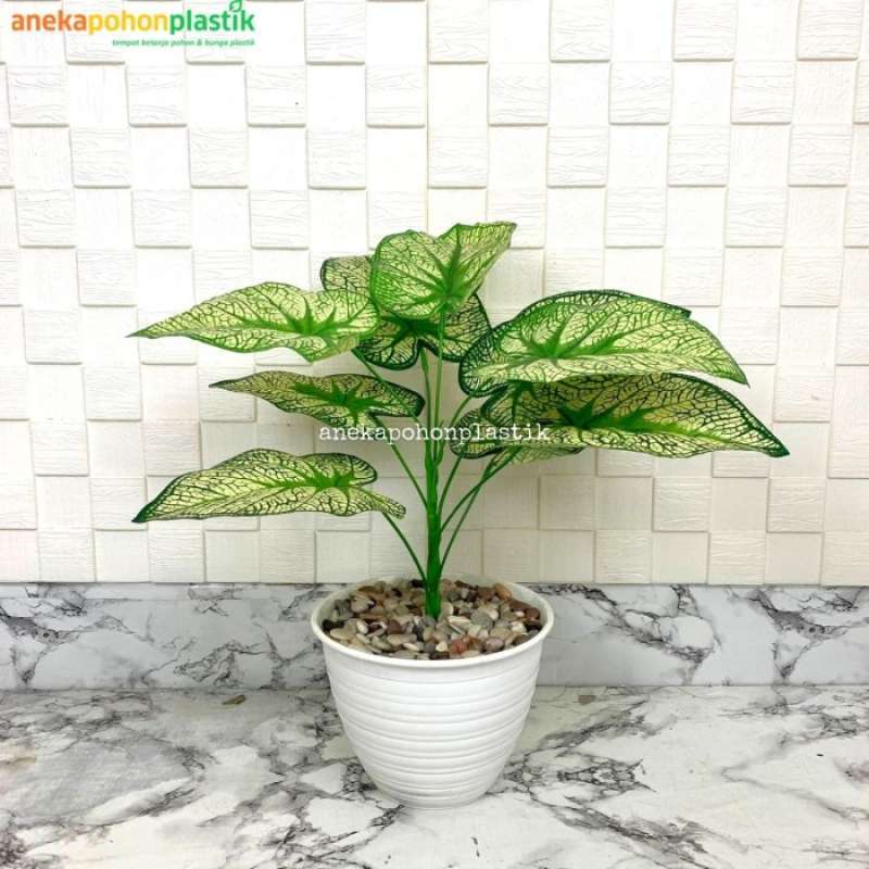 Promo pohon sri rejeki hijau artificial plastik late/pohon sri rejeki ...